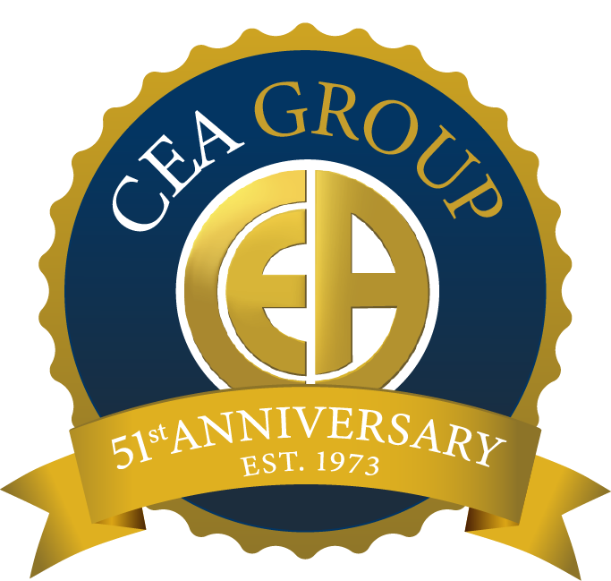 About Us | CEA Group | Investment Banking & Advisory